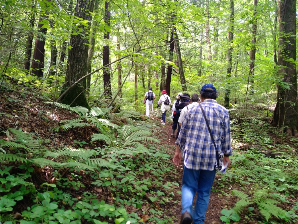 軽井沢図書館友の会通信